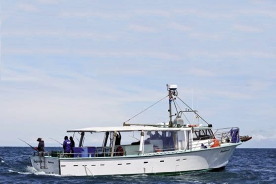 Cook Strait Fishing Charters - Review - The Fishing Website