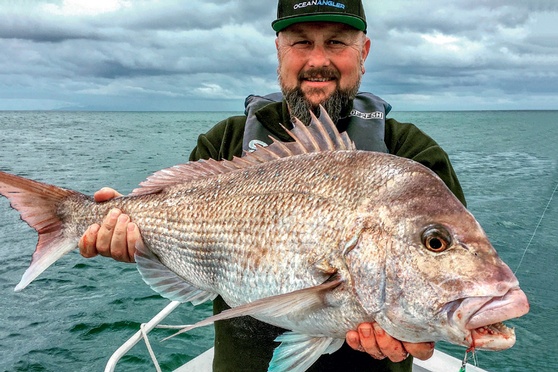 Snapper for beginners - lures - The Fishing Website