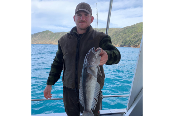 Wellington Fishing Report - September 13th, 2020 - The Fishing Website