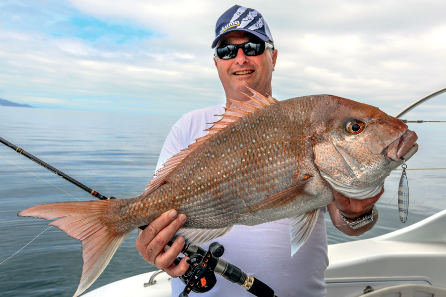 Where to find snapper in the Hauraki Gulf - The Fishing Website