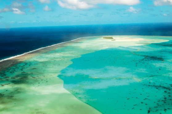 Fishing the Cook islands - The Fishing Website