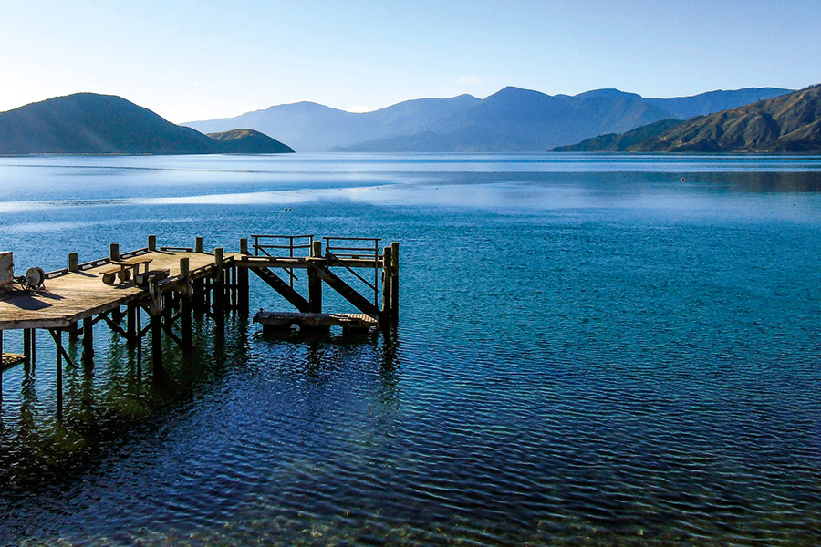 Pelorus Sound - The Fishing Website