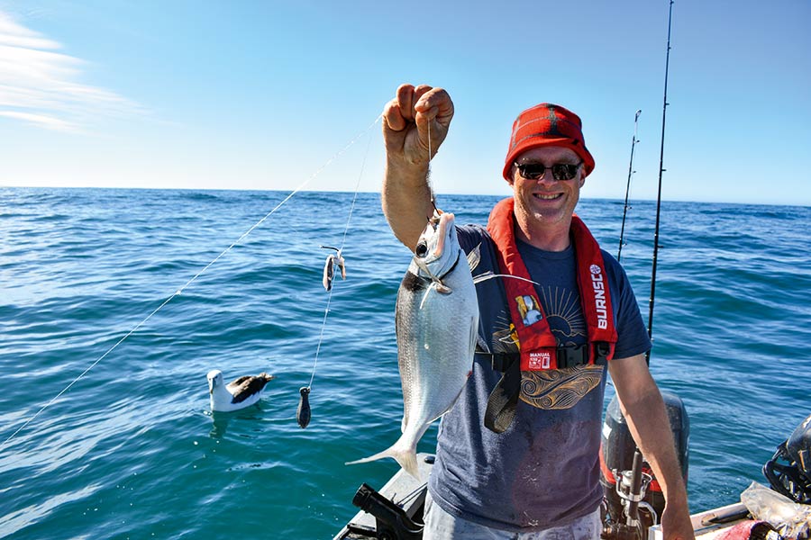 Tips and Tricks For Catching Tarakihi - The Fishing Website