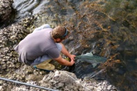 Brooker 410 Fisherman - The Fishing Website