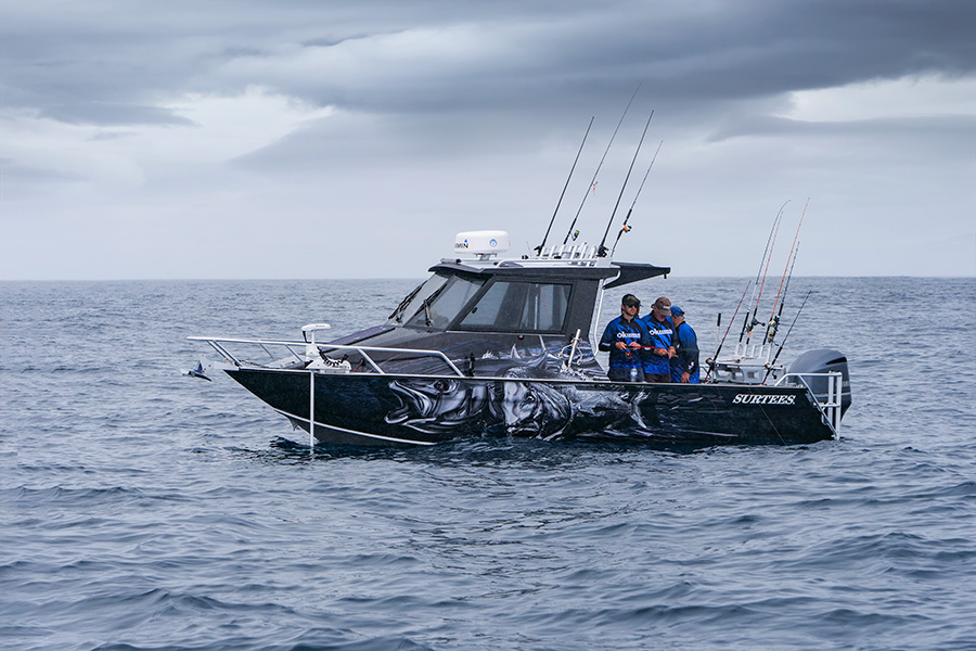 Lithium Battery Options for Boats - The Fishing Website