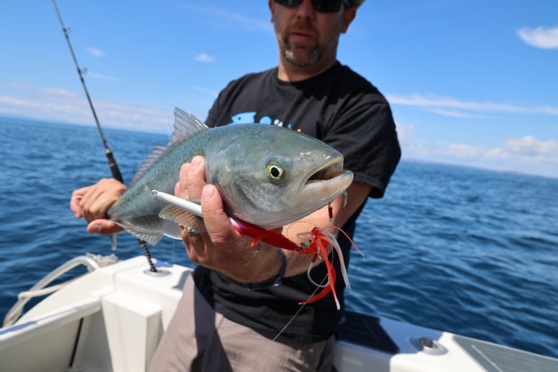 Finding Fish Below the Surface - The Fishing Website