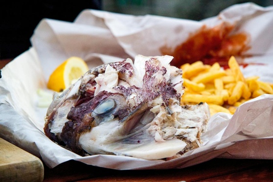 Fish Head Recipes - The Fishing Website