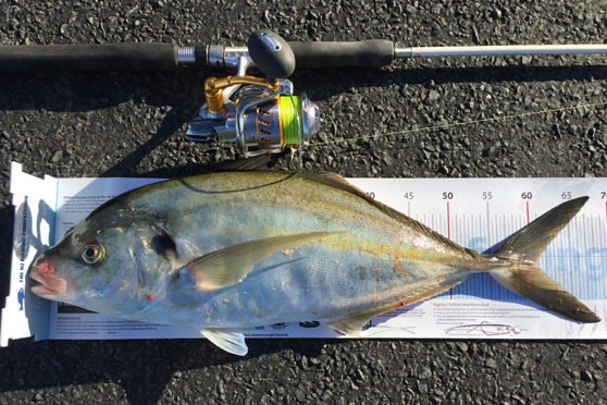 NZ Fishing Comp July Winner - The Fishing Website