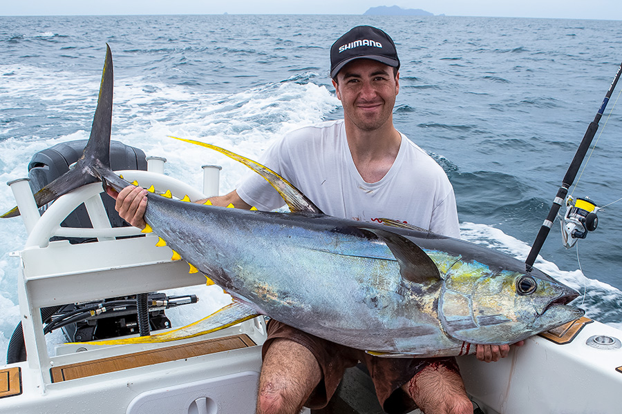 Catching Yellowfin at Whakatane - The Fishing Website