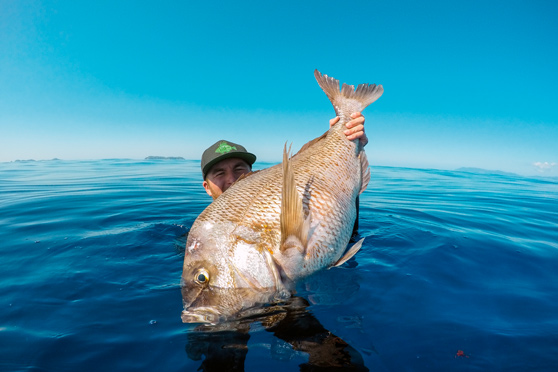 Blue water spearfishing at the Mokohinau Islands - The Fishing Website