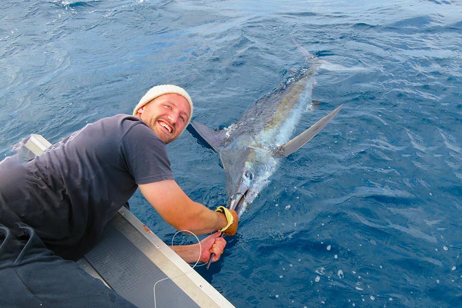 Marlin from a Tinny - The Fishing Website