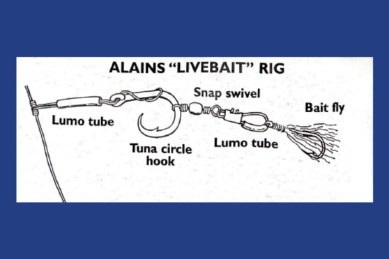Tarakihi Tactics (1998) - The Fishing Website
