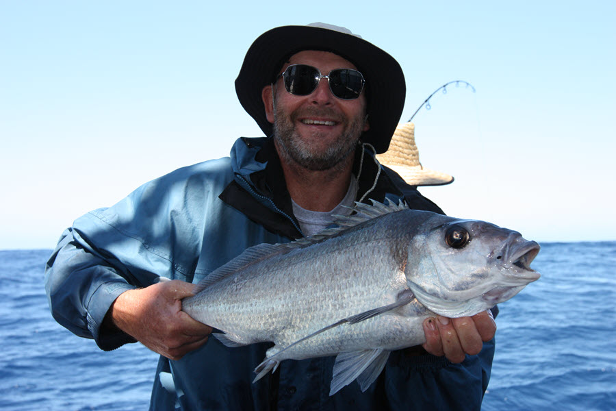 Feedback Sought on Tarakihi - The Fishing Website