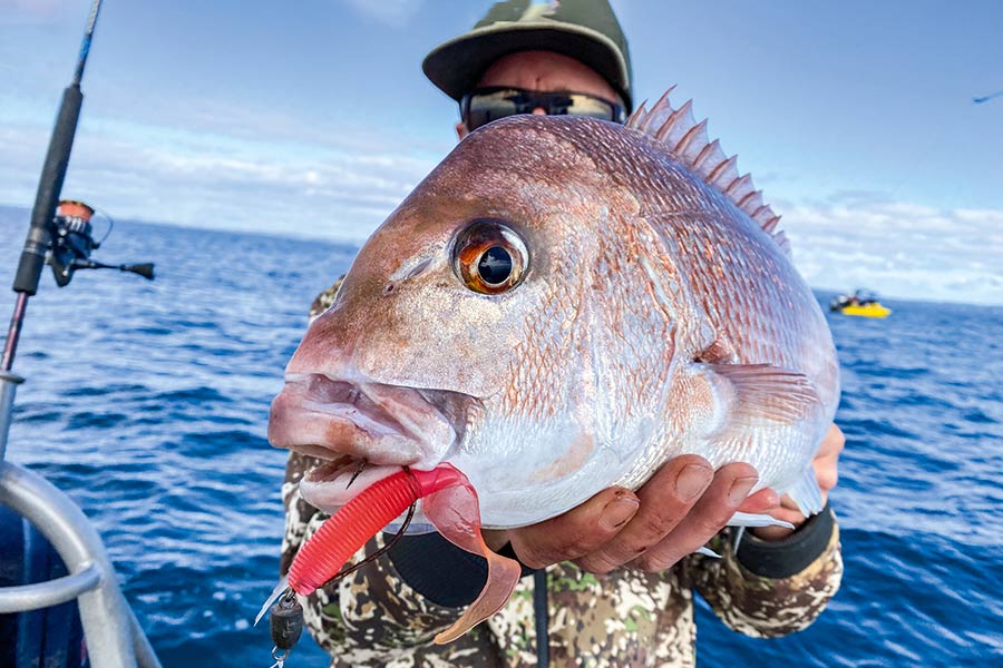 Snag-Free Soft-Baiting - The Fishing Website