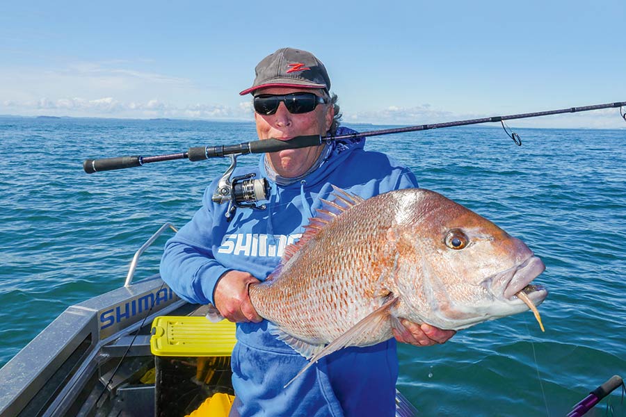 Choosing the Right Soft-Baiting Reel - The Fishing Website