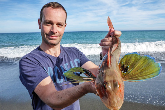 Surfcasting success in November conditions - The Fishing Website