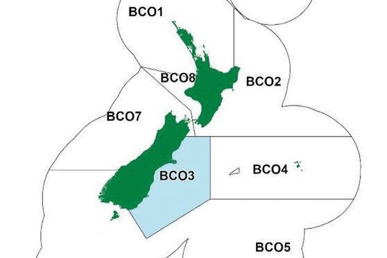South Island Blue Cod Need Your Help - The Fishing Website