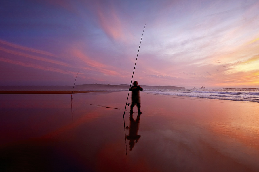 Targeting Lemonfish - The Fishing Website