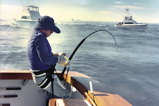 Black Magic Equalizer Harness System - The Fishing Website