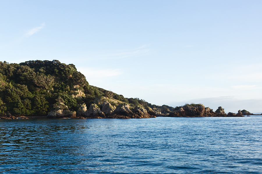 Snapper Fishing with Bait and Berley - The Fishing Website