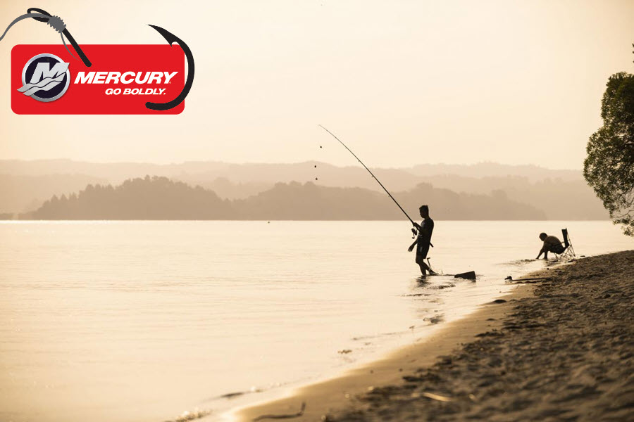 Latest Fishing Reports - 27/06/25 - The Fishing Website