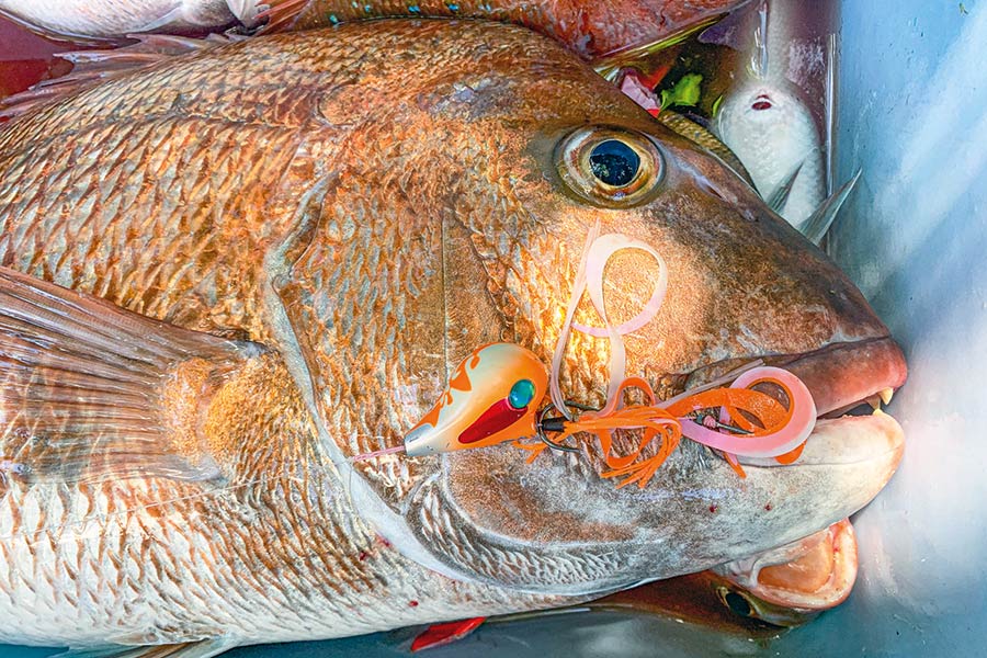 Shimano Dotera Baku Baku Lure Review - The Fishing Website