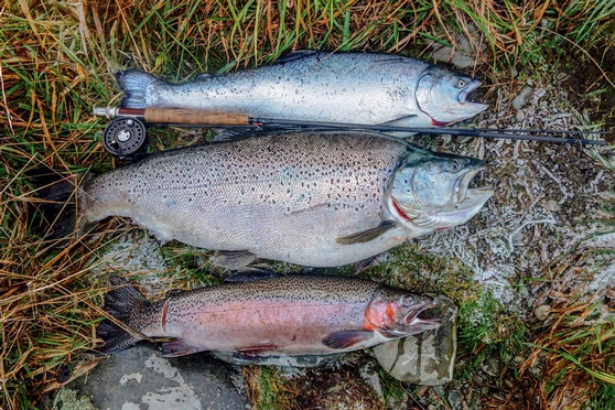 Autumn trout fishing in New Zealand's South Island - The Fishing Website