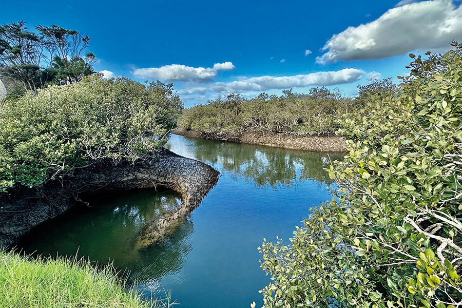 Catching Flounder on Small Baits & Lures - The Fishing Website