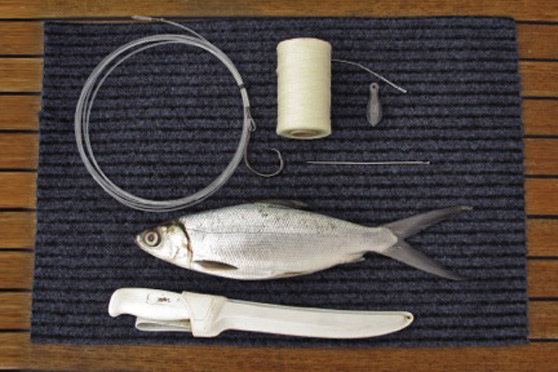 Gamefishing - rigging swim baits - The Fishing Website