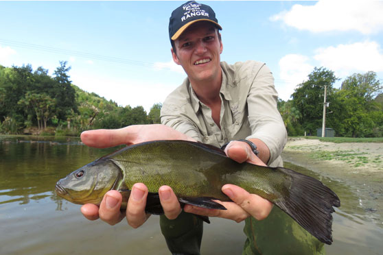 Tench return to Timaru - The Fishing Website