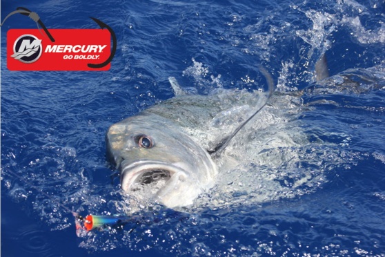 Cook Islands Fishing Report - September 5th, 2022 - The Fishing Website