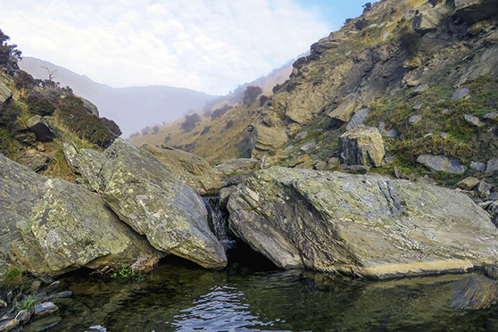 Trout Fishing In Wild Gorges - The Fishing Website