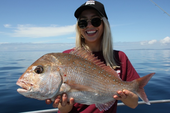 How to catch snapper - The Fishing Website