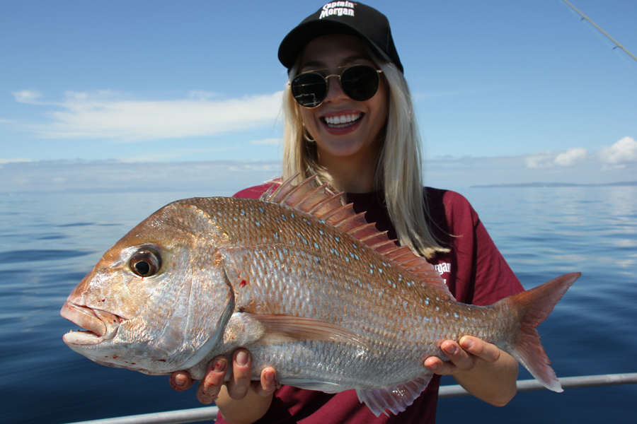How to catch snapper - The Fishing Website
