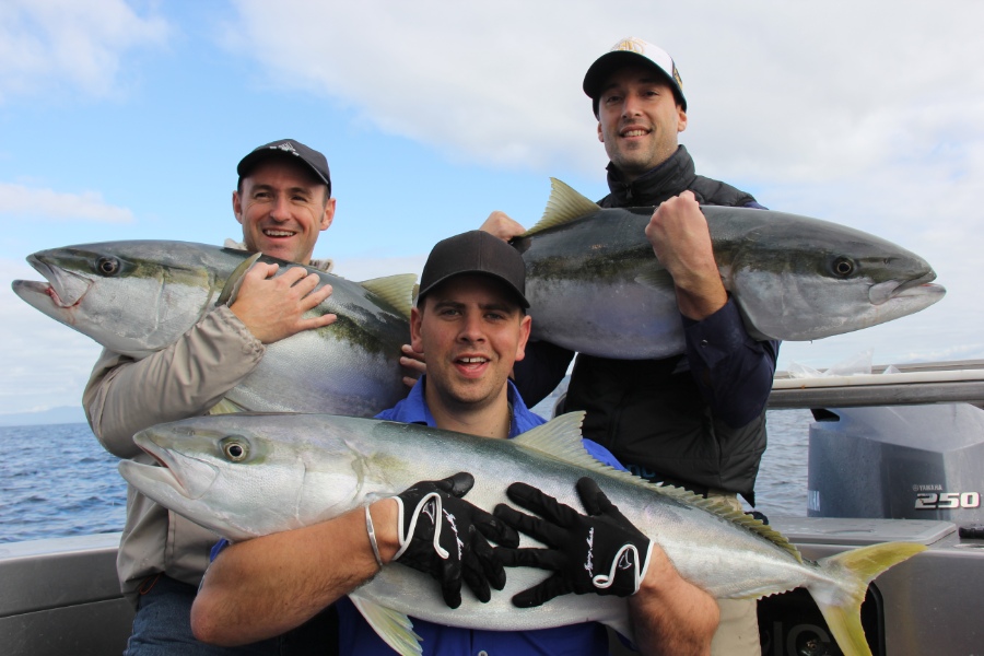 How to catch kingfish - The Fishing Website