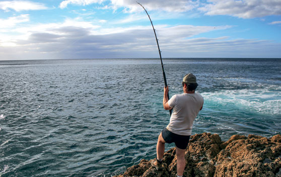 Land-based Gamefishing - The Fishing Website