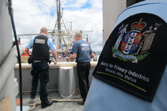 A day in the life of an MPI officer - The Fishing Website