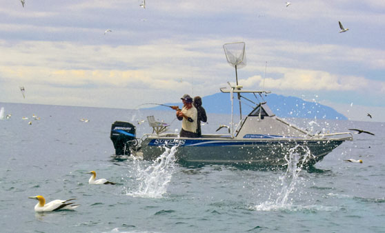 Finding & fishing the work-ups - The Fishing Website