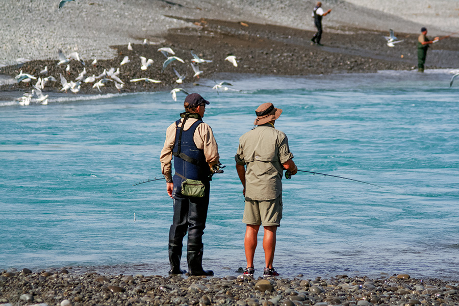 Saltwater Flyfishing for Kahawai in Spring - The Fishing Website