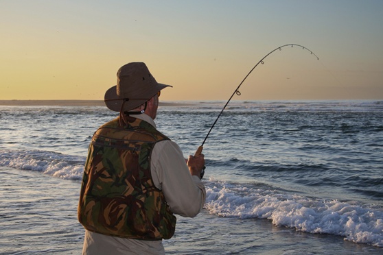 Pacific Fish Species (Part One) - The Fishing Website