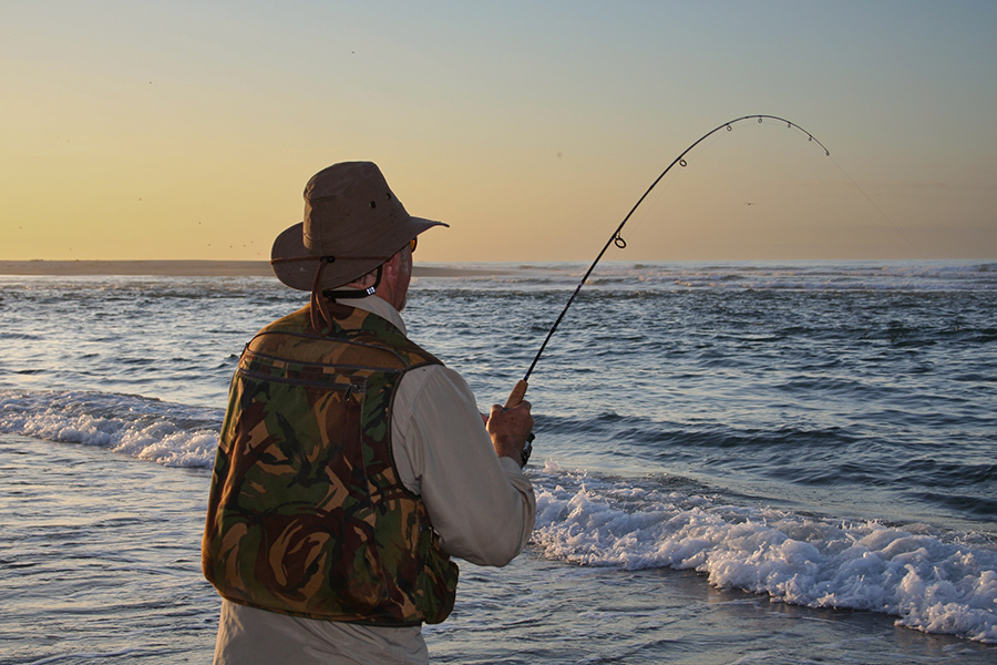 Pacific Fish Species (Part One) - The Fishing Website