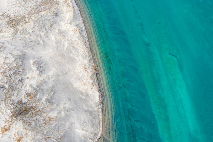 The Bream Bay Fishery - The Fishing Website