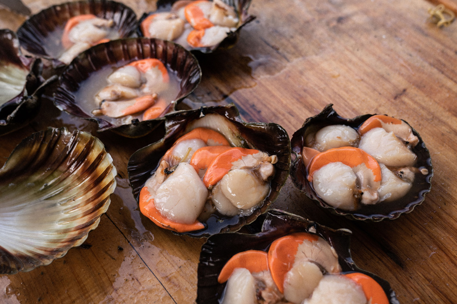 Community's Innovative Scallop Plan - The Fishing Website