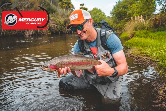 NZ's Latest Fishing Reports - 17/11/22 - The Fishing Website