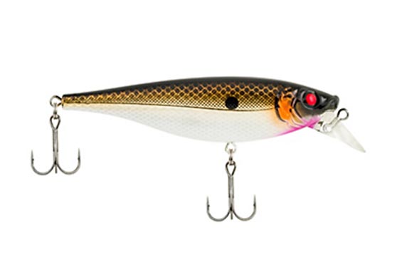 Berkely Juke - The Fishing Website