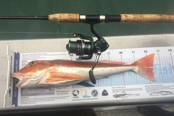 NZ Fishing Comp February Winner - The Fishing Website