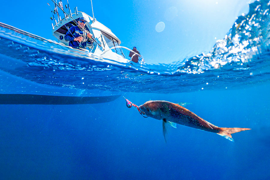 Releasing Fish Safely - The Fishing Website