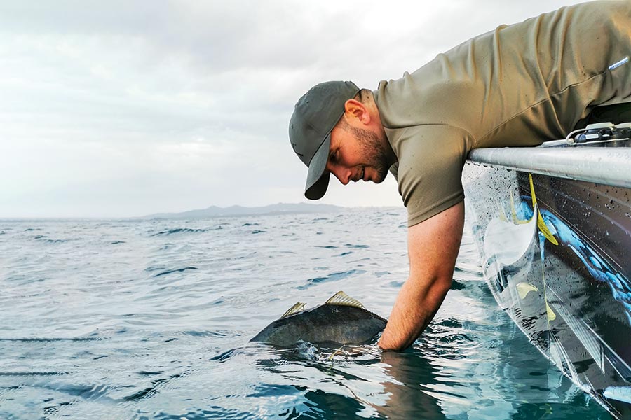 Trevally on lures - The Fishing Website