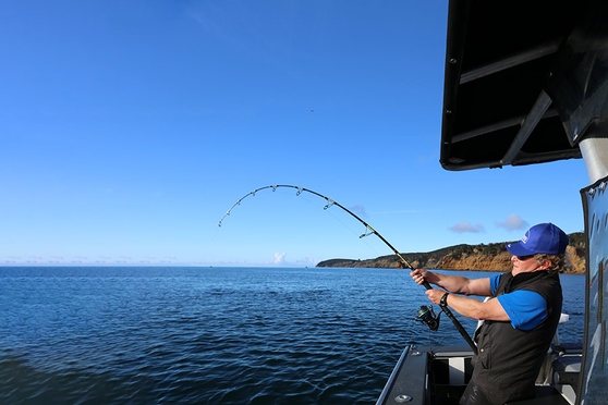 The Latest in Topwater Fishing Gear - The Fishing Website