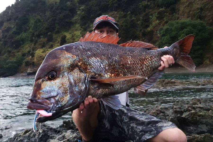 Battered snapper anyone? - The Fishing Website